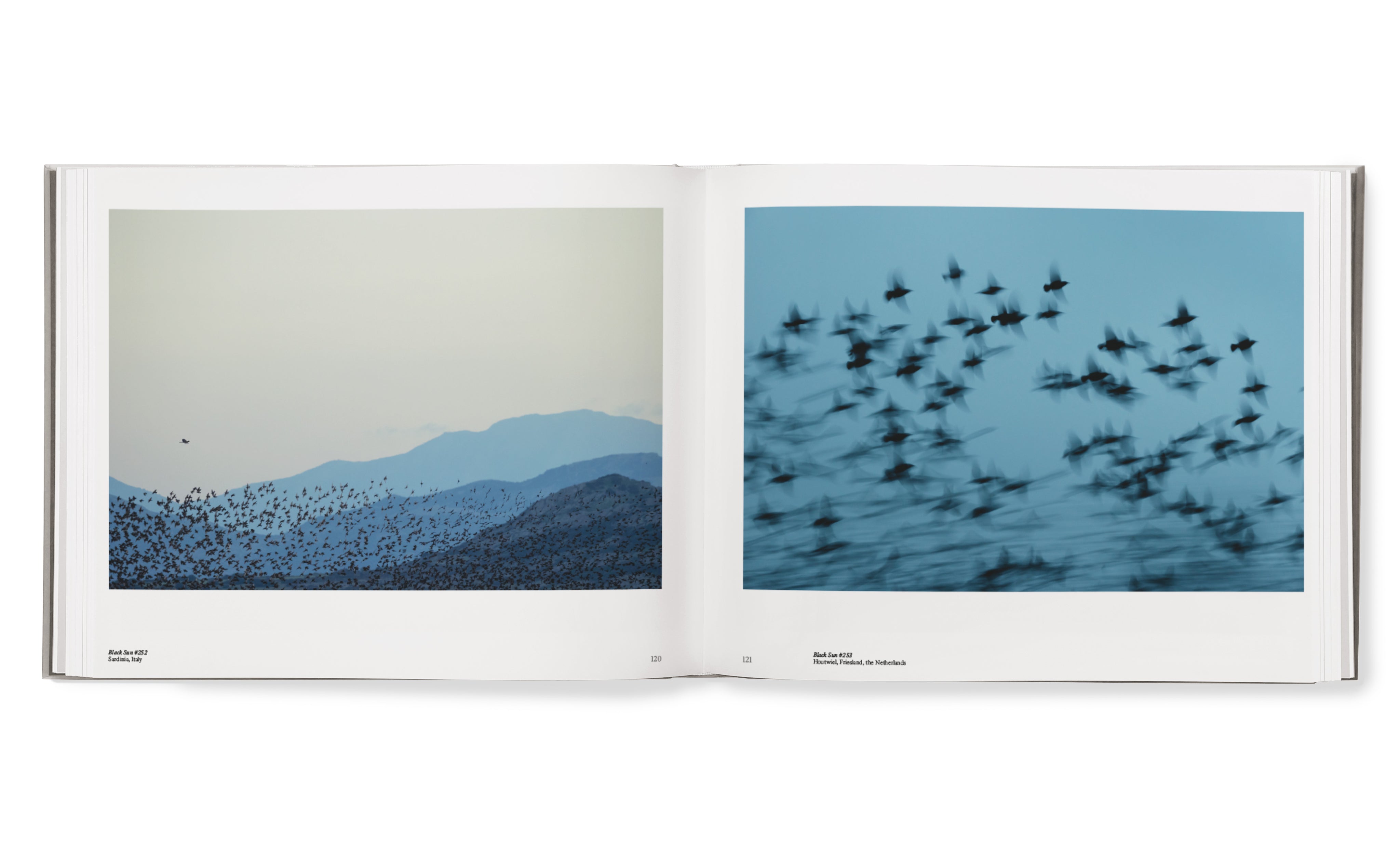 Starling hardcover book – Søren Solkær