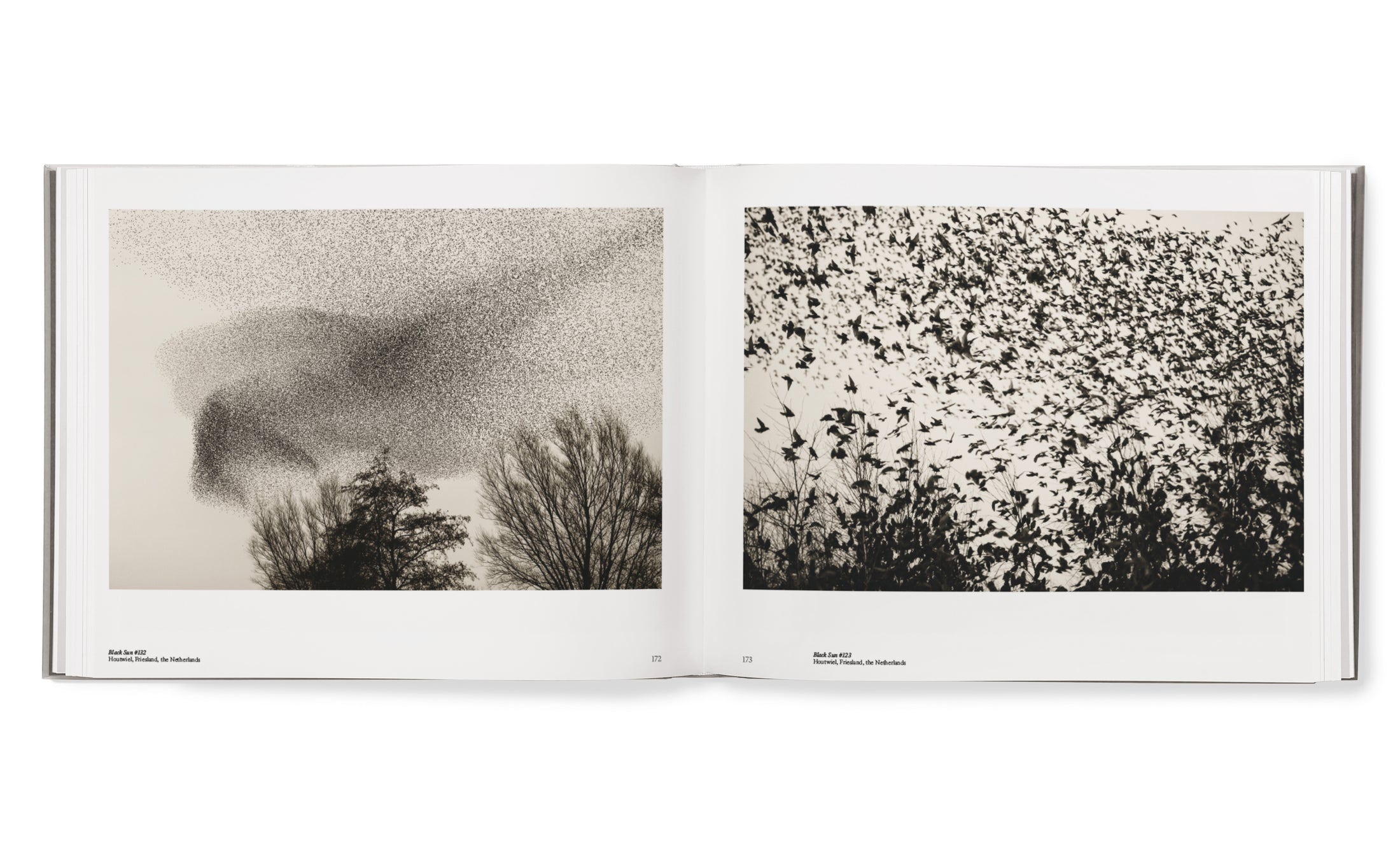 Starling hardcover book – Søren Solkær